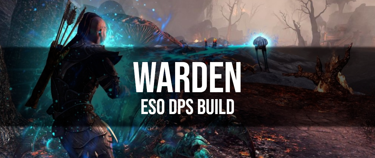 warden-dps-build - Dottz Gaming